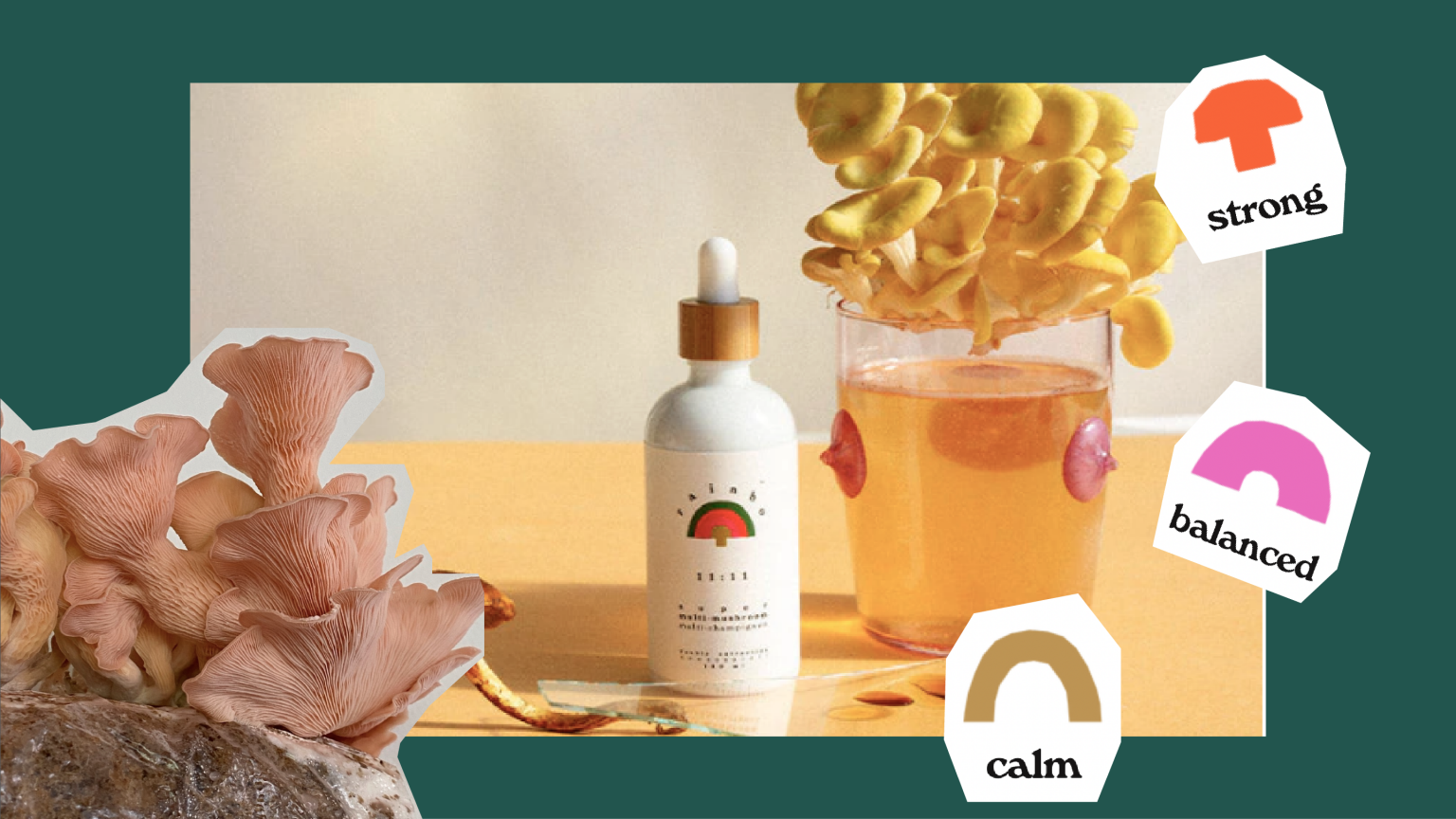 4 Brands That Are Redefining the Wellness Space - Monday Creative