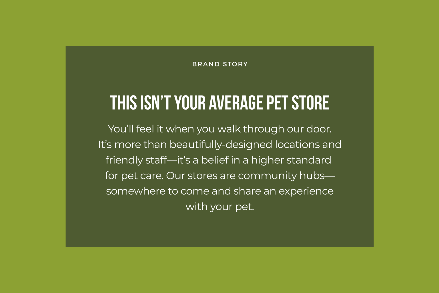 Homes Alive Pets - Monday Creative