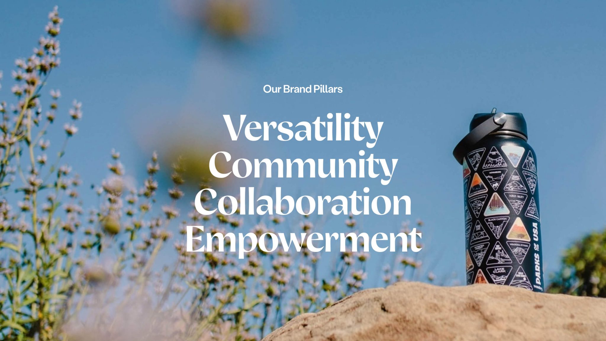 Monday Creative | Wondery Outdoors rebrand, logo, and packaging